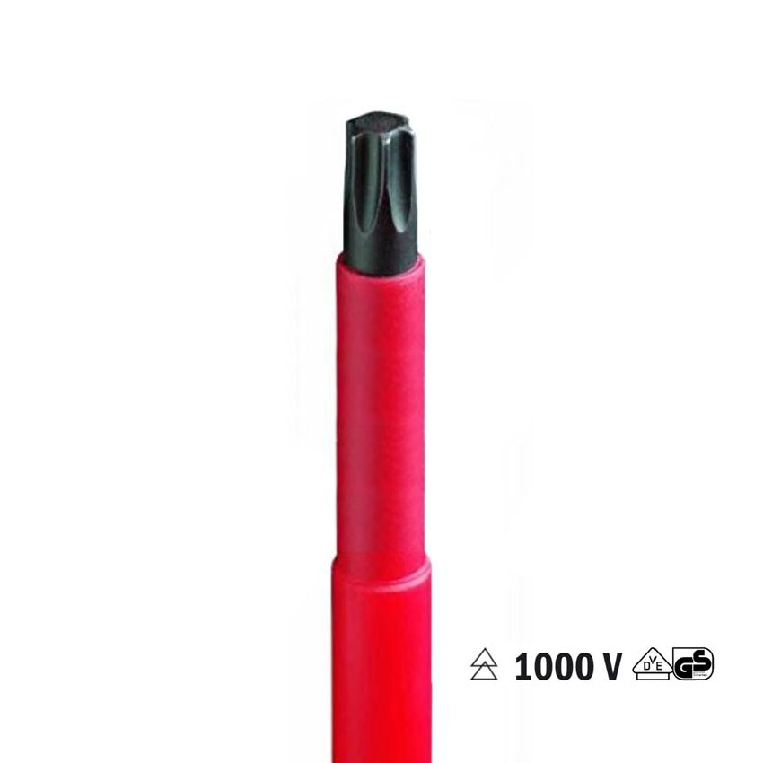 TORX Screwdriver T15 - LAPP Australia